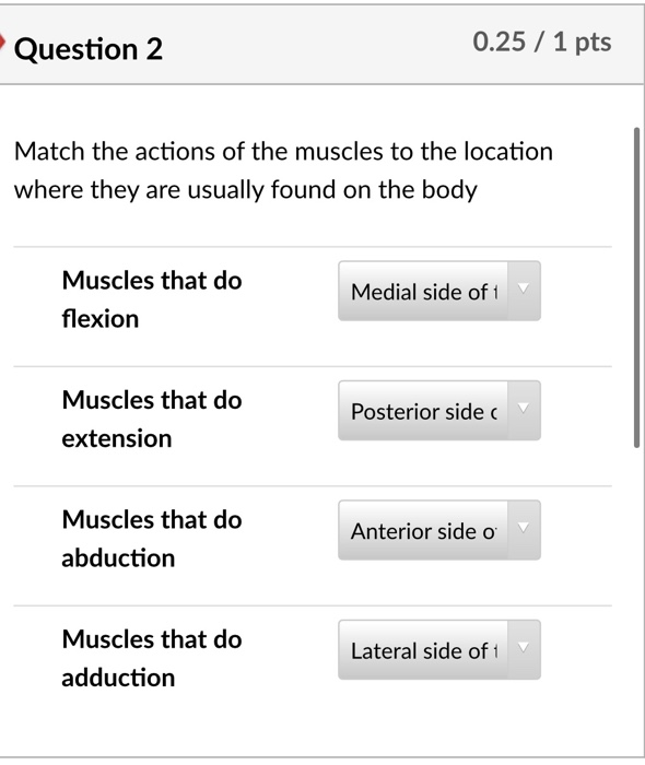 Solved Question 2 0.25 / 1 pts Match the actions of the | Chegg.com