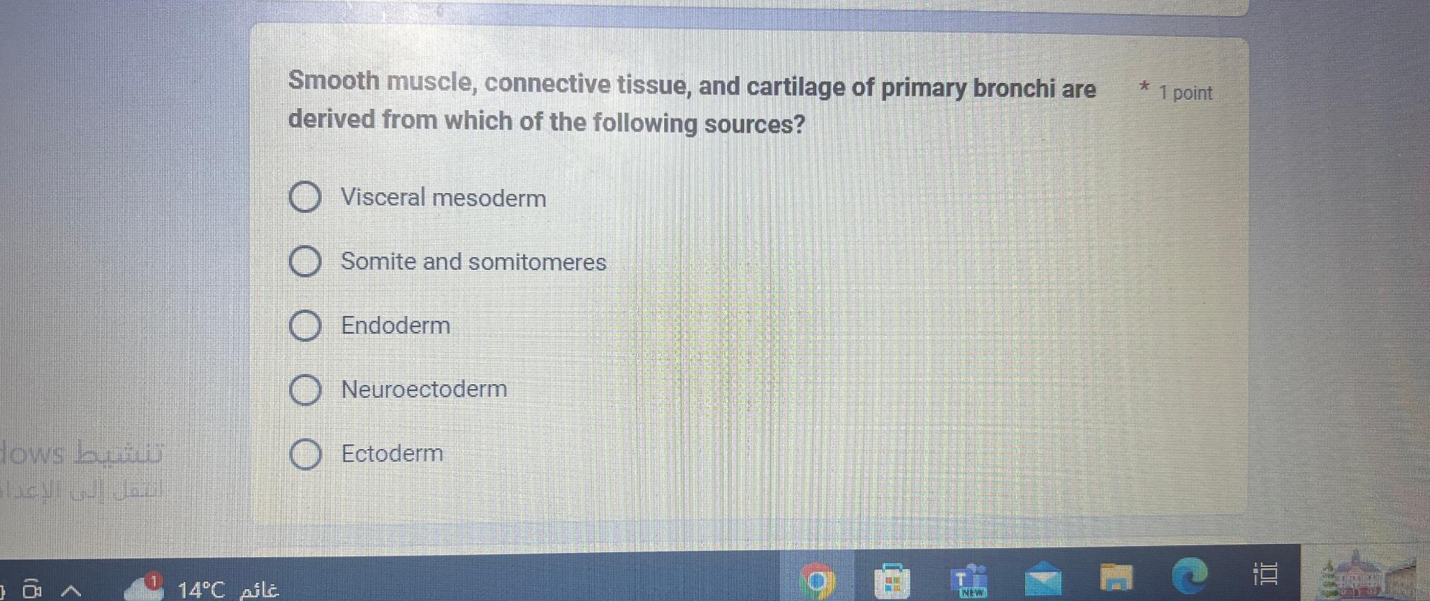 Solved Smooth muscle, connective tissue, and cartilage of | Chegg.com