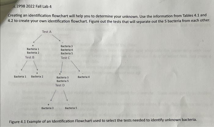Using the Differential Chart and the Report Form, | Chegg.com