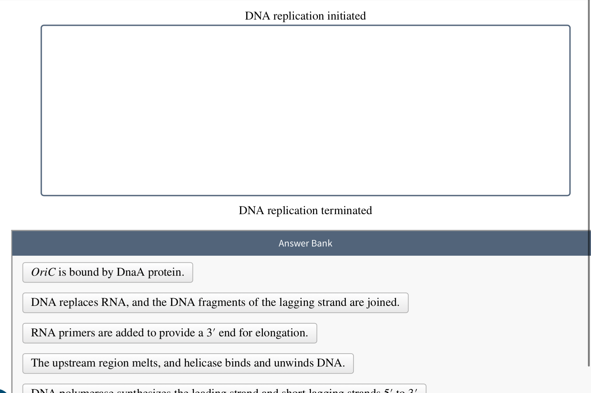 Solved DNA replication initiatedDNA replication | Chegg.com