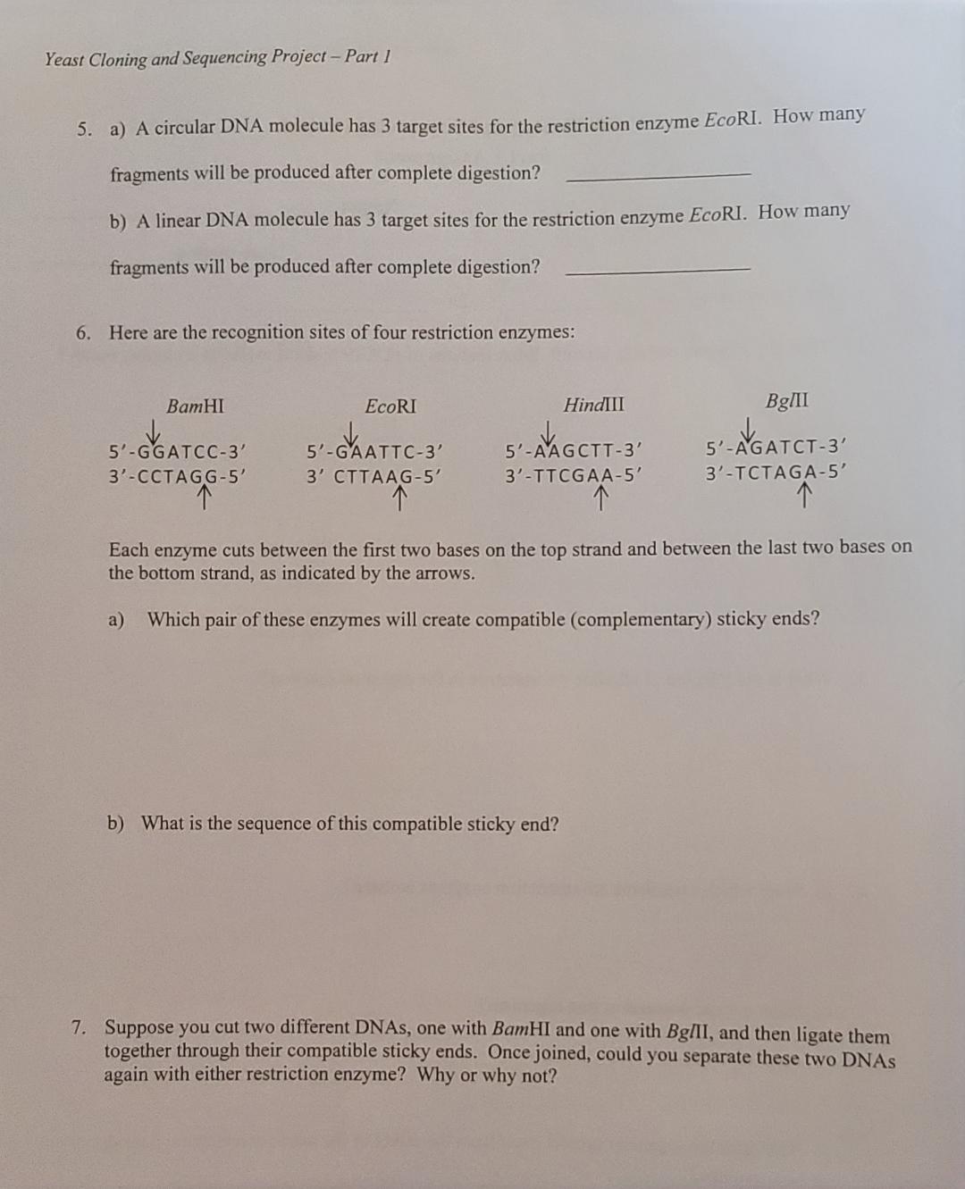 Solved Yeast Cloning and Sequencing Project - ﻿Part 15. ﻿a) | Chegg.com
