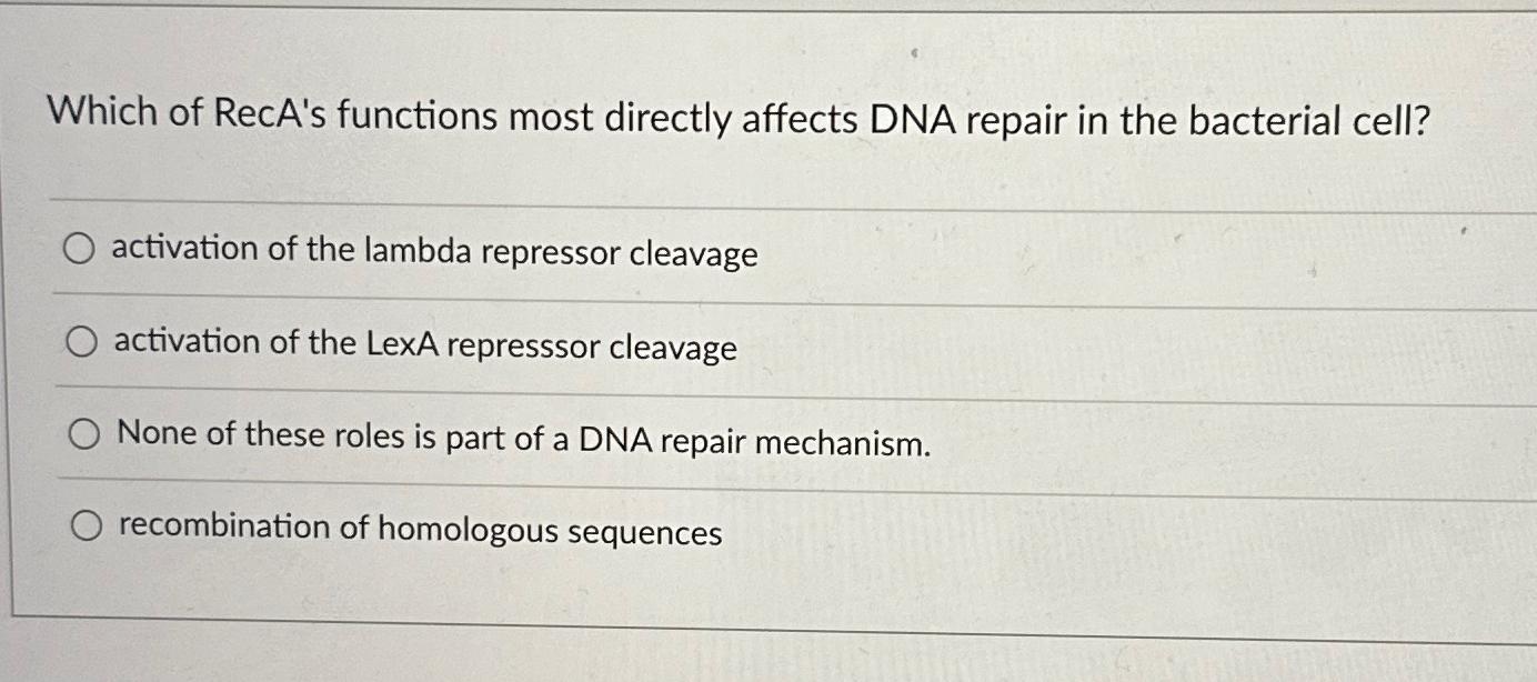 Solved Which of RecA's functions most directly affects DNA | Chegg.com