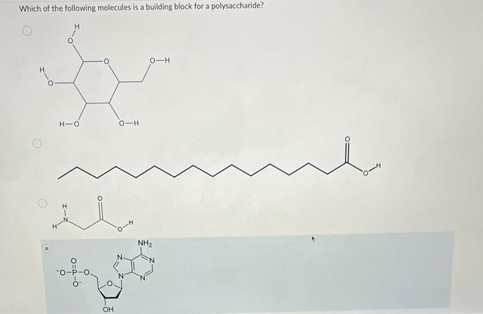 Solved Which of the following molecules is a building block | Chegg.com