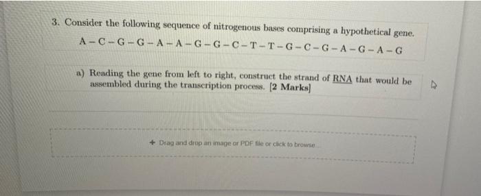 Solved 3. Consider the following sequence of nitrogenous | Chegg.com