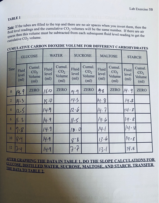 Solved Lab Exercise 5B 6. Using your knowledge of | Chegg.com