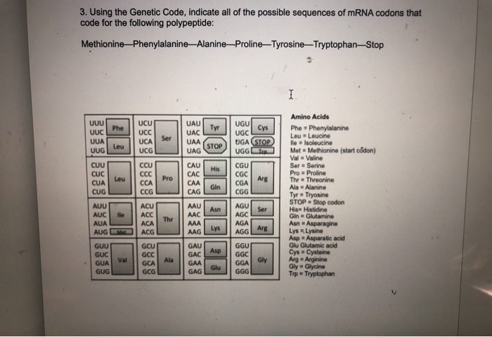Solved 3. Using the Genetic Code, indicate all of the | Chegg.com