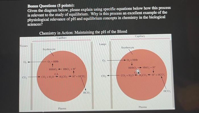 Solved Bonus Questions (5 points): Given the diagram below, | Chegg.com