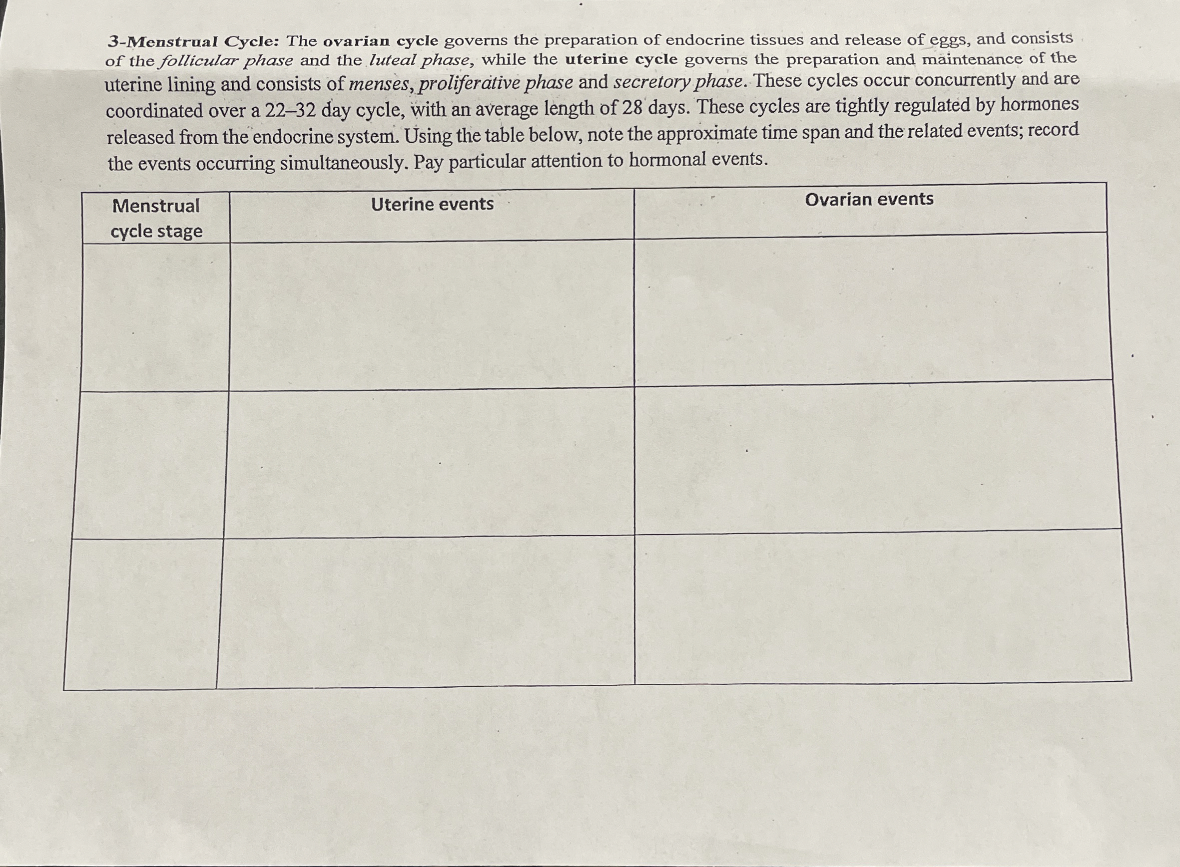 Solved 3-Menstrual Cycle: The ovarian cycle governs the | Chegg.com