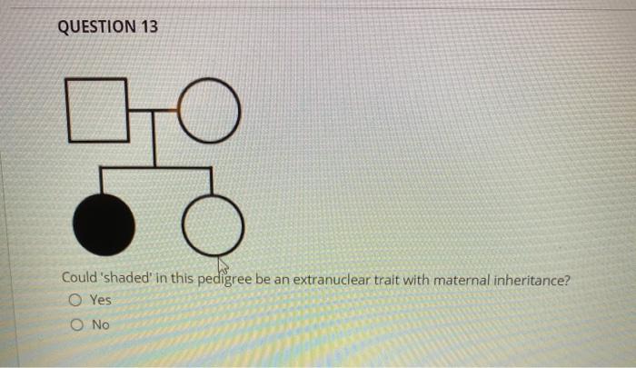 Solved QUESTION 13 Could 'shaded' in this pedigree be an | Chegg.com