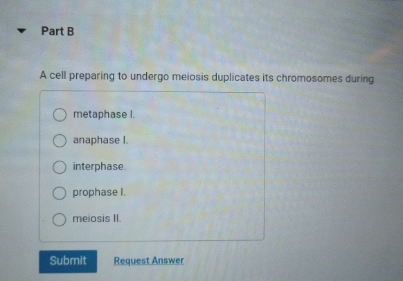 Solved Part BA cell preparing to undergo meiosis duplicates | Chegg.com