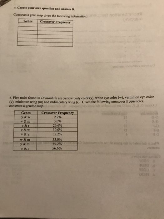 Solved 4. Create your own question and answer it. Construct | Chegg.com