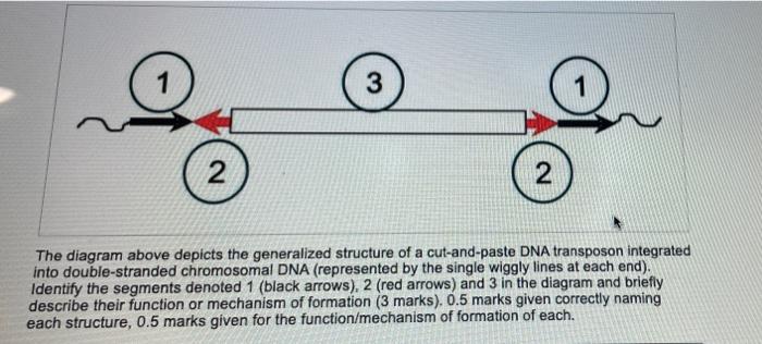 Solved 1 3 2 2 The diagram above depicts the generalized | Chegg.com