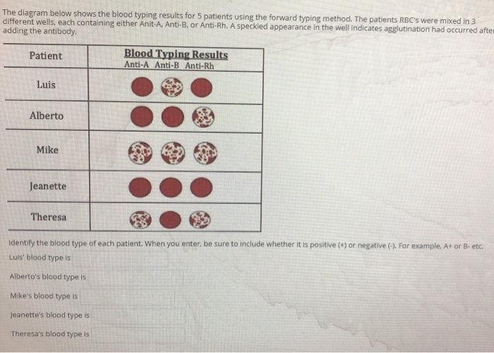 Solved The diagram below shows the blood typing results for | Chegg.com