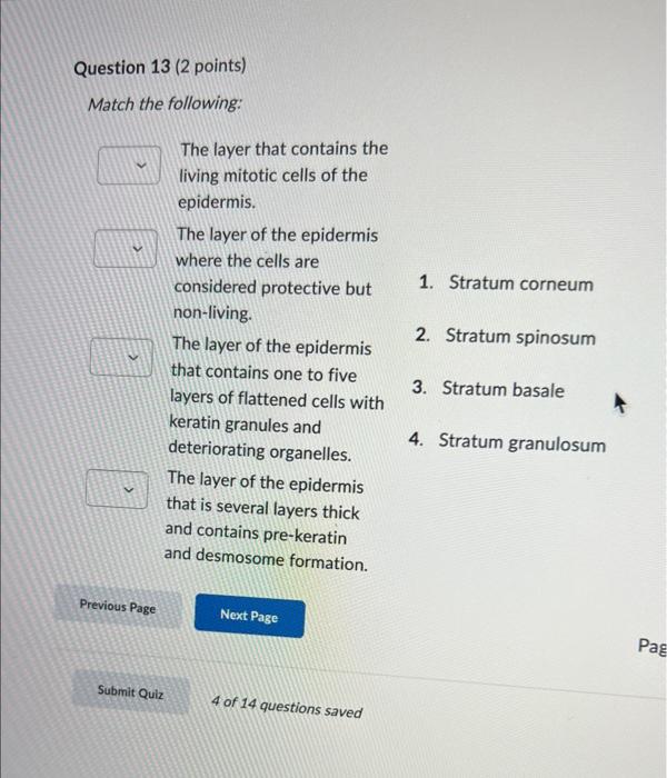 Solved Question 13 (2 points) Match the following: The layer | Chegg.com