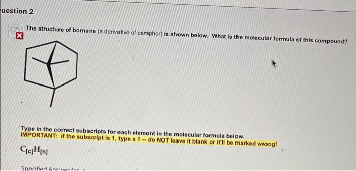 Solved (x The structure of bornane (a derivative of camphor) | Chegg.com