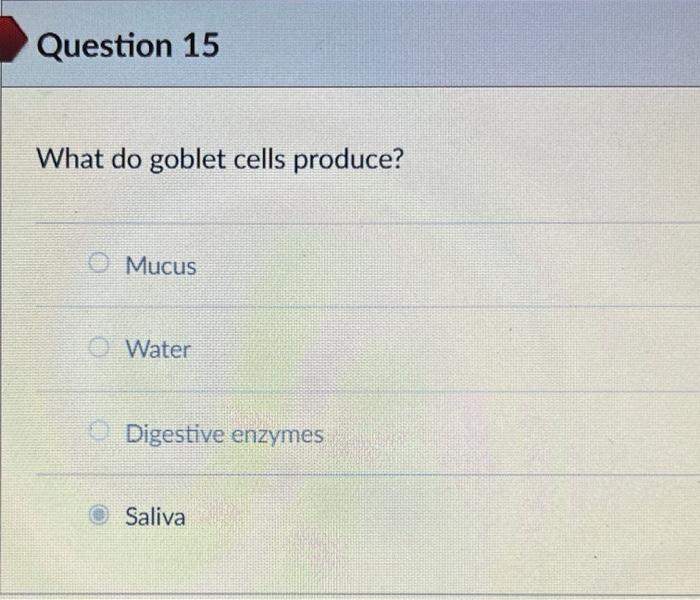 Solved What do goblet cells produce? Mucus Water Digestive | Chegg.com