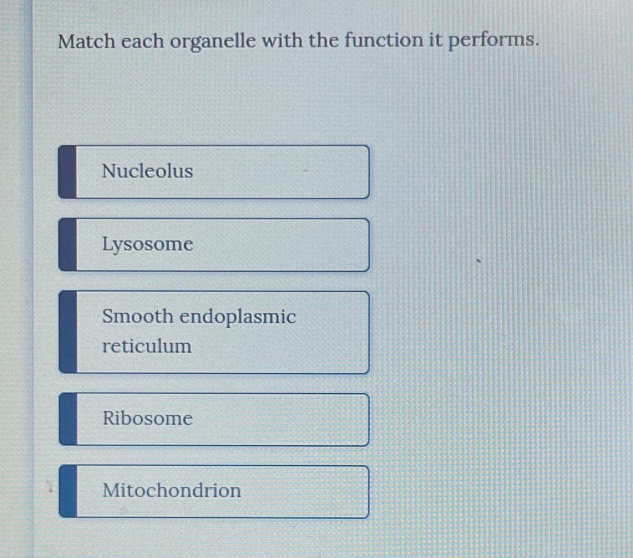 Solved Match each organelle with the function it | Chegg.com