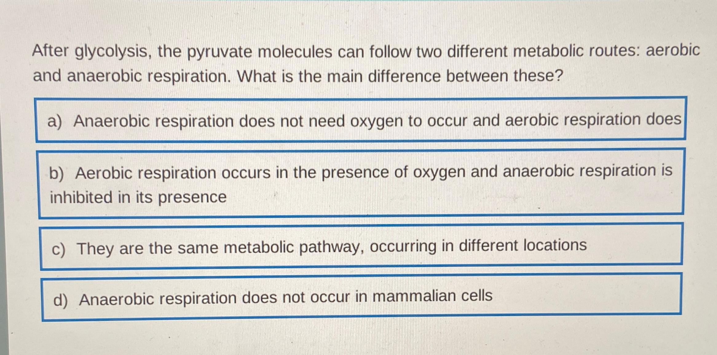 Solved After glycolysis, the pyruvate molecules can follow | Chegg.com