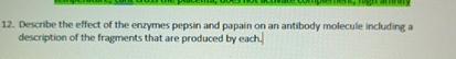 Solved Describe the effect of the enzymes pepsin and papain | Chegg.com