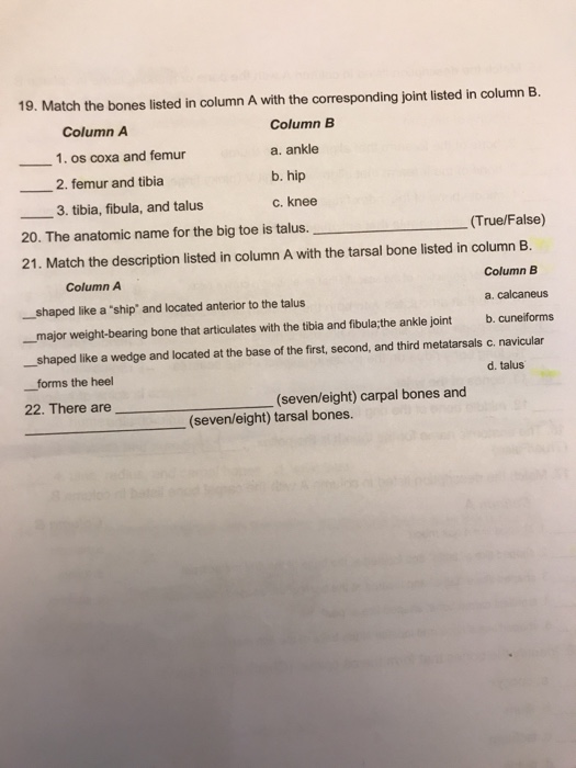 Solved 15. Match the description listed in column A with the | Chegg.com