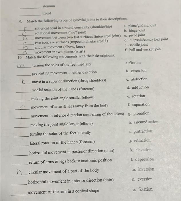 Solved stemum hyoid 9. Match the following types of synovial | Chegg.com