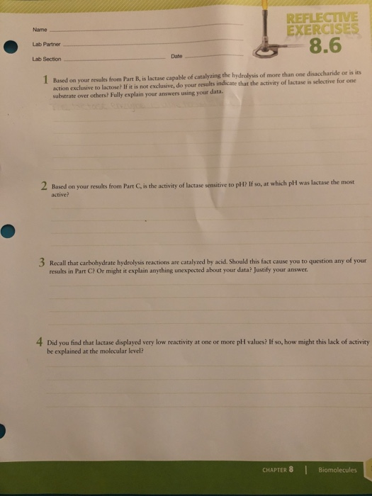 Solved Name REFLECTIVE EXERCISES 8.6 Lab Partner Date Lab | Chegg.com