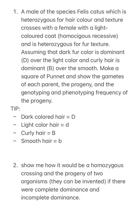Solved 1. A male of the species Felis catus which is | Chegg.com