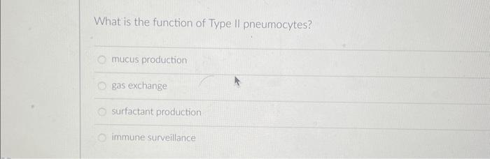 Solved What is the function of Type II pneumocytes? mucus | Chegg.com
