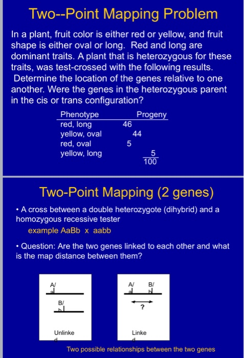 Solved Two--Point Mapping Problem In a plant, fruit color is | Chegg.com