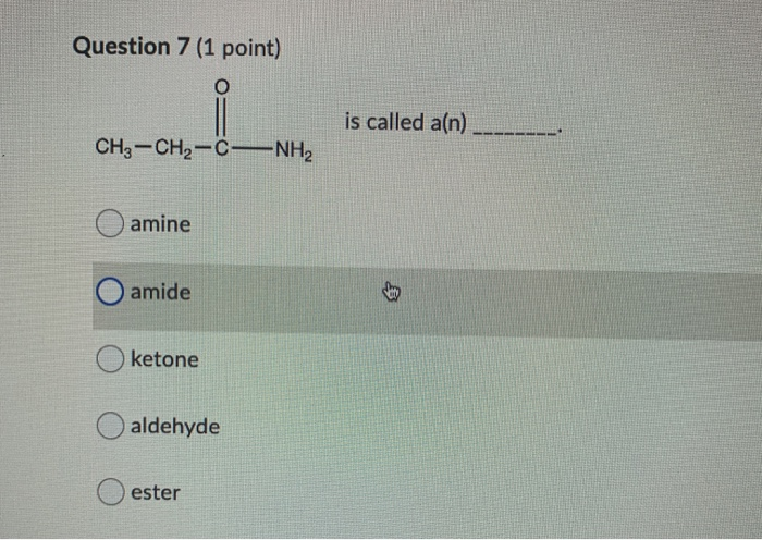 Solved Question 7 (1 point) is called a(n) CH3 -CH2-C-NH2 | Chegg.com