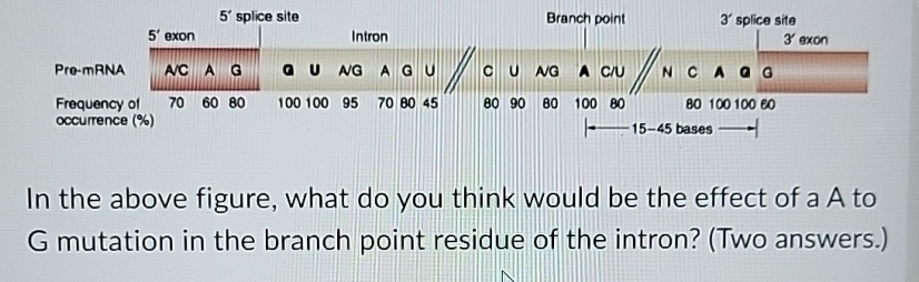 Solved In the above figure, what do you think would be the | Chegg.com