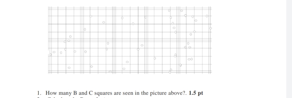 Solved How many B ﻿and C ﻿squares are seen in the picture | Chegg.com