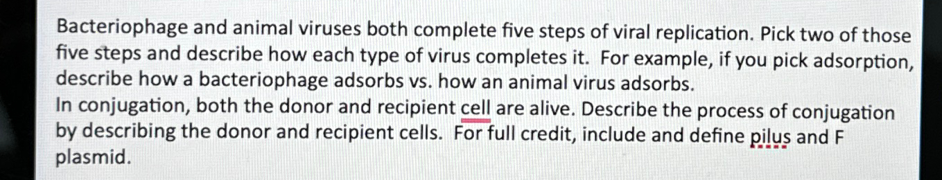 Solved Bacteriophage and animal viruses both complete five | Chegg.com