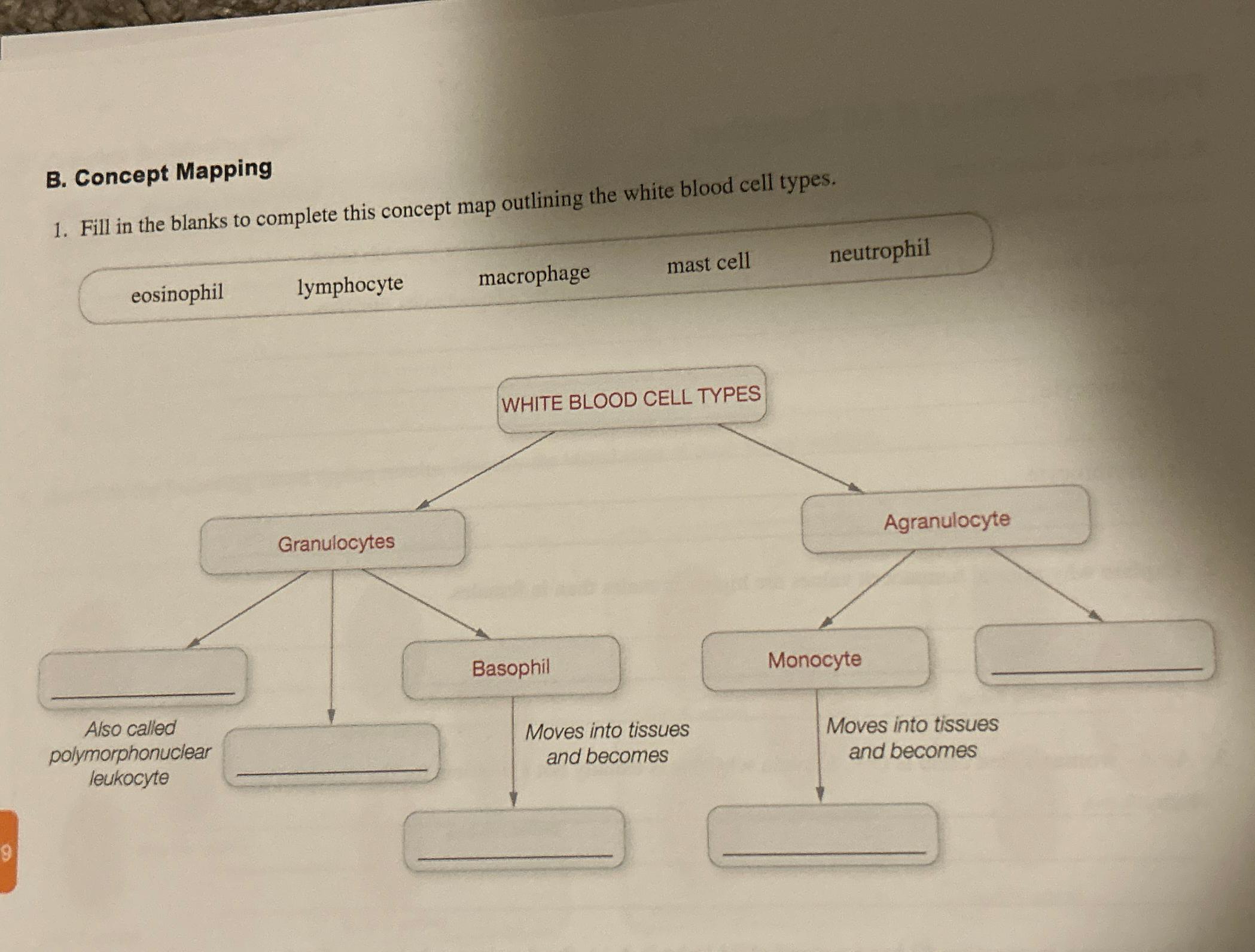 Solved B. ﻿Concept MappingFill in the blanks to complete | Chegg.com