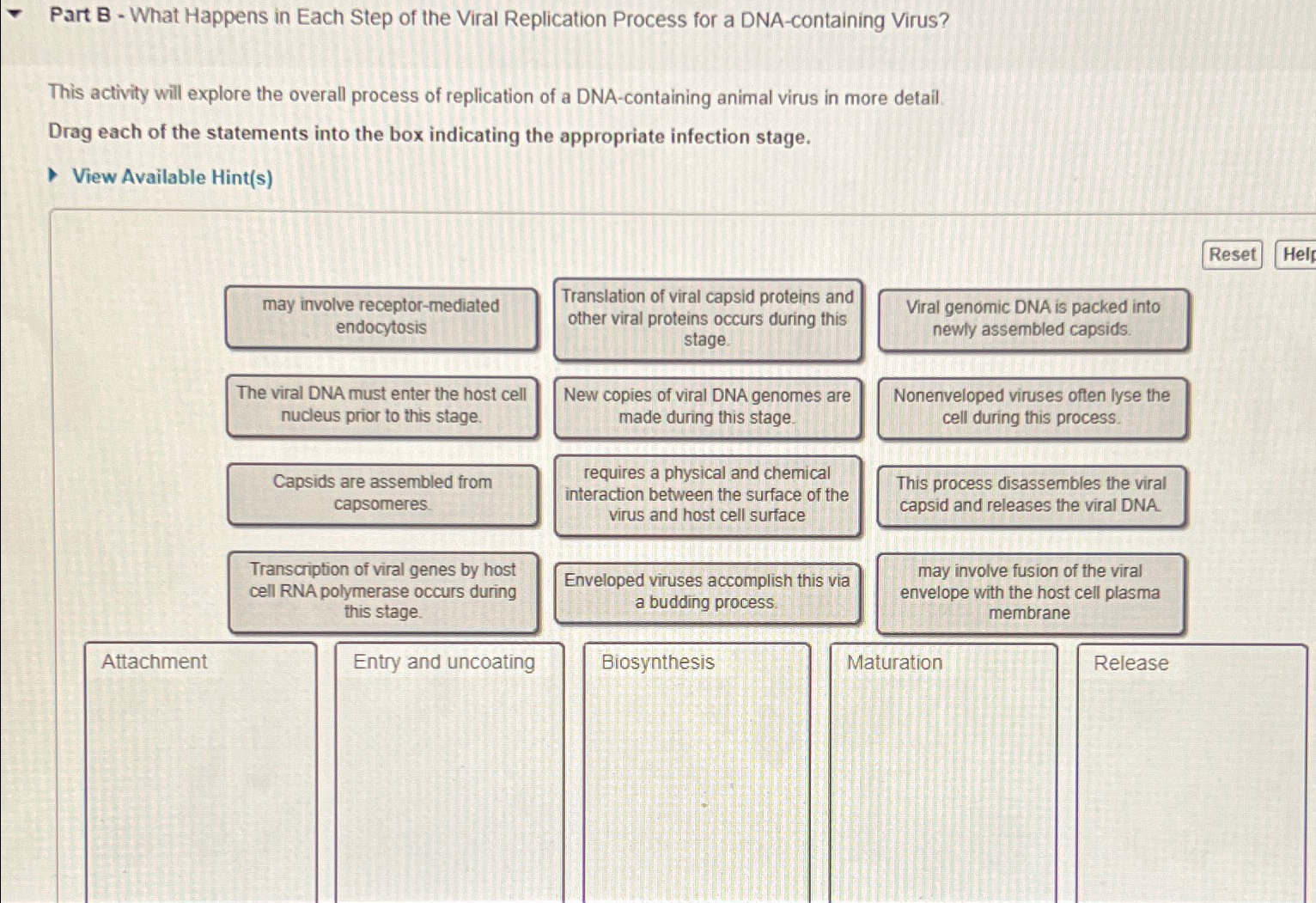 Solved Part B - ﻿What Happens in Each Step of the Viral | Chegg.com