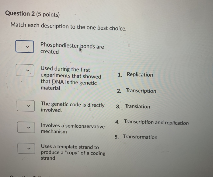 Solved Question 2 (5 points) Match each description to the | Chegg.com