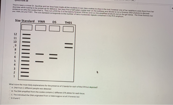 Solved 5 There's been a crimel Dr. Spurling and her boys | Chegg.com
