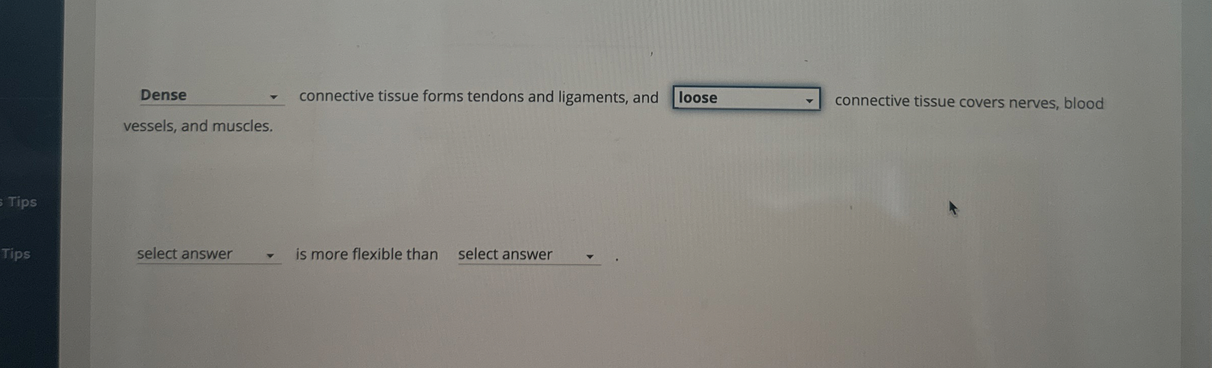 Solved Denseconnective tissue forms tendons and ligaments, | Chegg.com