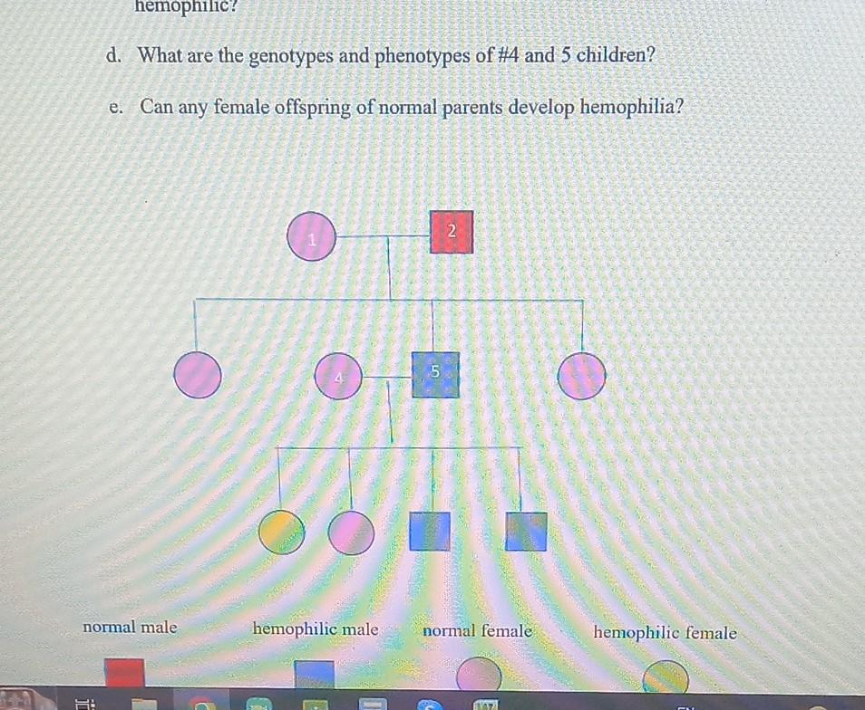 Solved the possible phenotypes of the offspring for full | Chegg.com