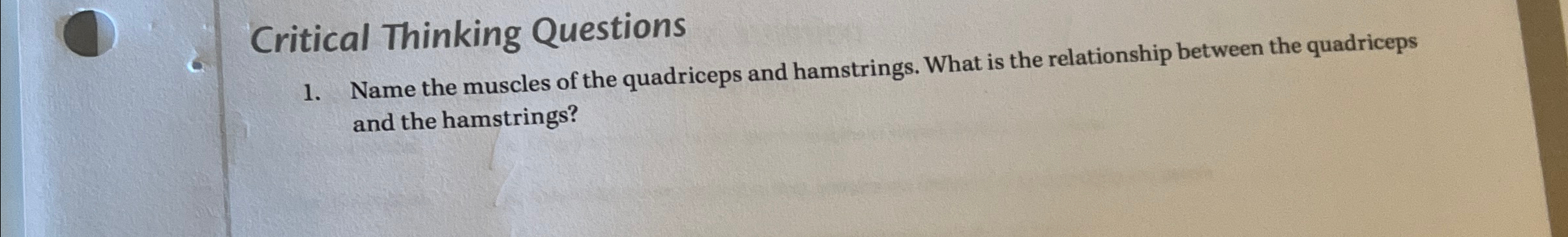 Solved Critical Thinking QuestionsName the muscles of the | Chegg.com