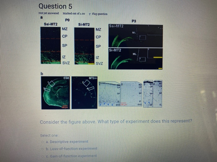 Solved Question 5 Marked out of 1.00 Not yet answered a Flag | Chegg.com
