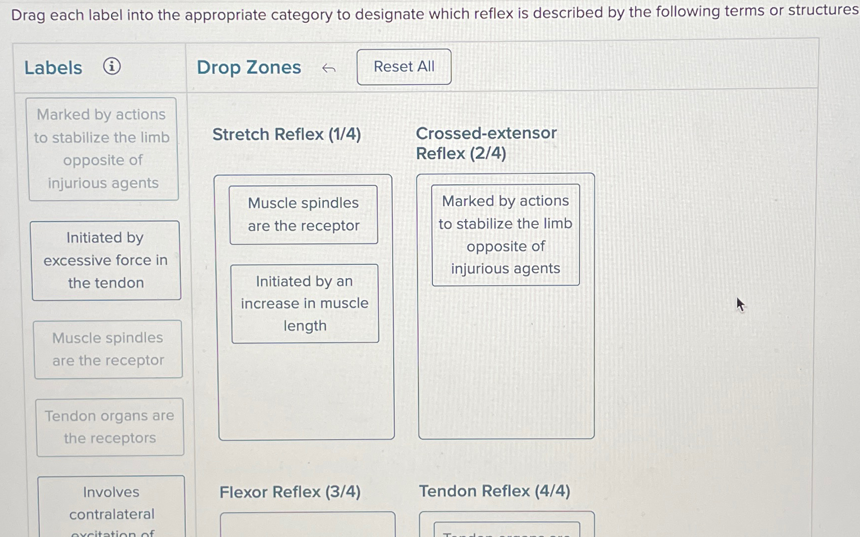 Solved Drag each label into the appropriate category to | Chegg.com
