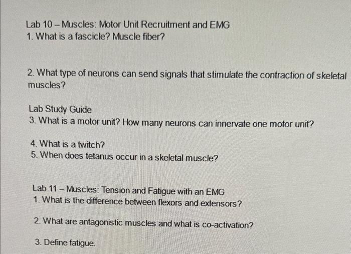 Solved Lab 10 - Muscles: Motor Unit Recruitment and EMG 1. | Chegg.com