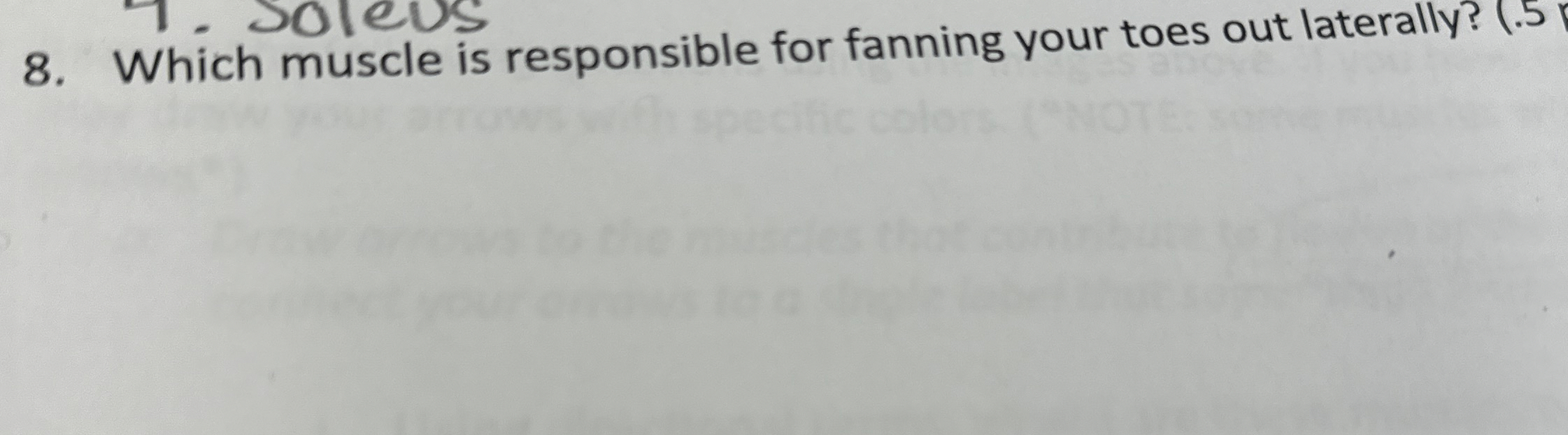 Solved Which muscle is responsible for fanning your toes out | Chegg.com