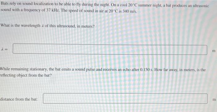 Solved Bats rely on sound localization to be able to fly | Chegg.com