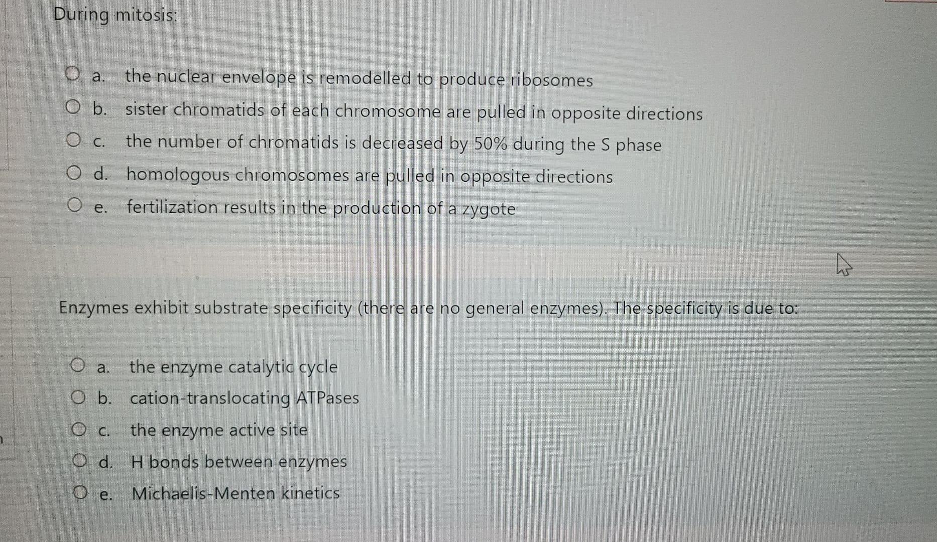 Solved During mitosis: Оа. the nuclear envelope is | Chegg.com