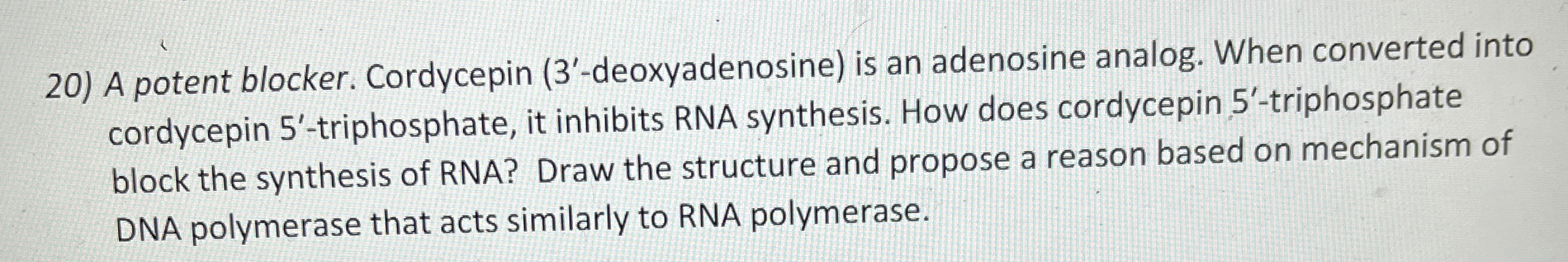 Solved A potent blocker. Cordycepin (3'-deoxyadenosine) ﻿is | Chegg.com