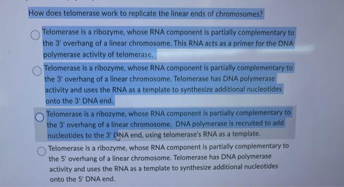 Solved How does telomerase work to replicate the linear ends | Chegg.com
