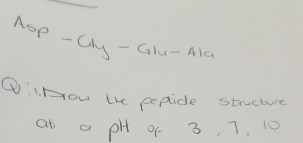 Solved Asp - ﻿Gly - ﻿Glu-AlaQ:draw the peptide structure at | Chegg.com