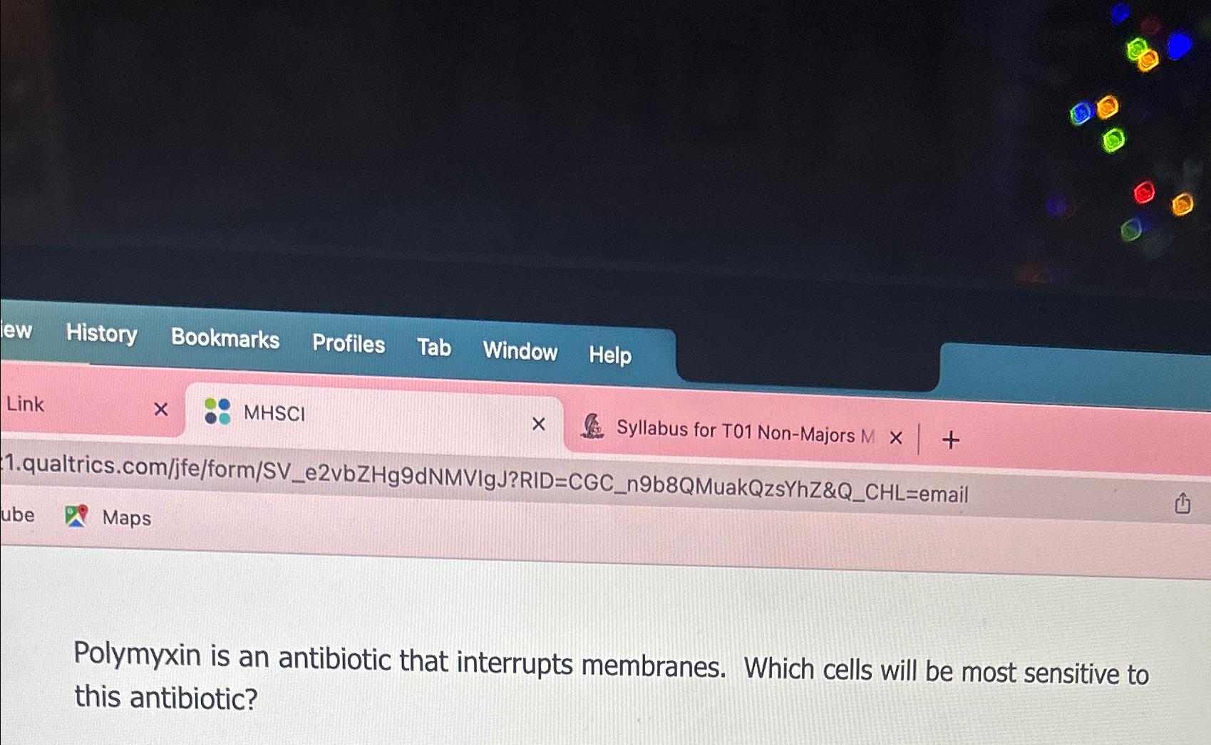 Solved lew History Bookmarks Profiles Tab Window | Chegg.com
